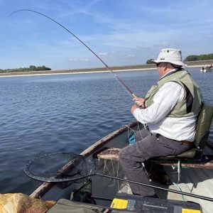 Latest Reports – Invicta FFC